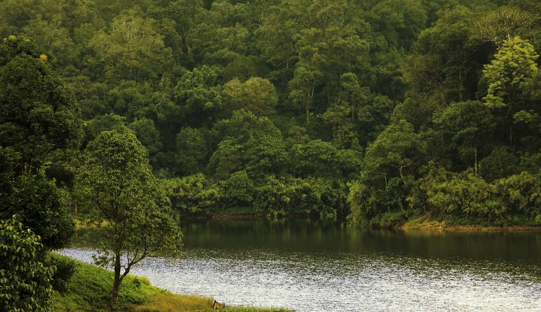 Best Tourist Places in Kerala | Kerala Tourism | Riveria Adventures